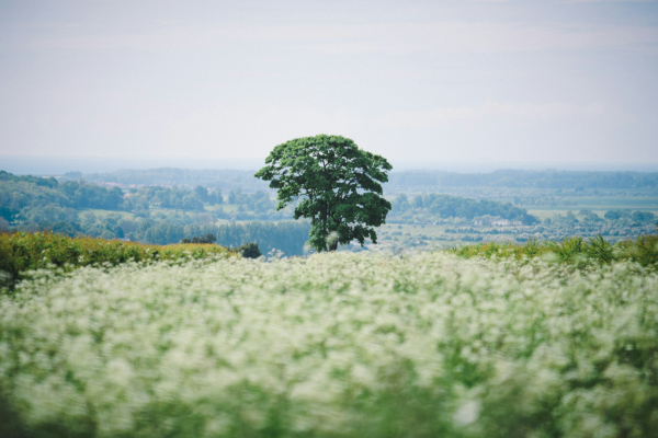 Chester Solicitors